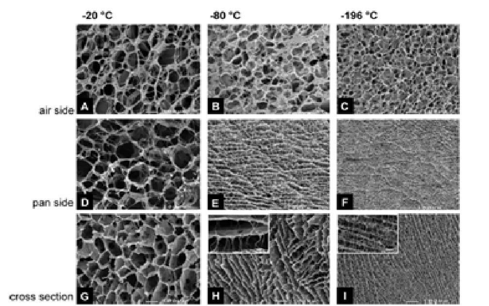 BE115's Tissue Engineering Blog: Construction of Collagen Scaffolds ...