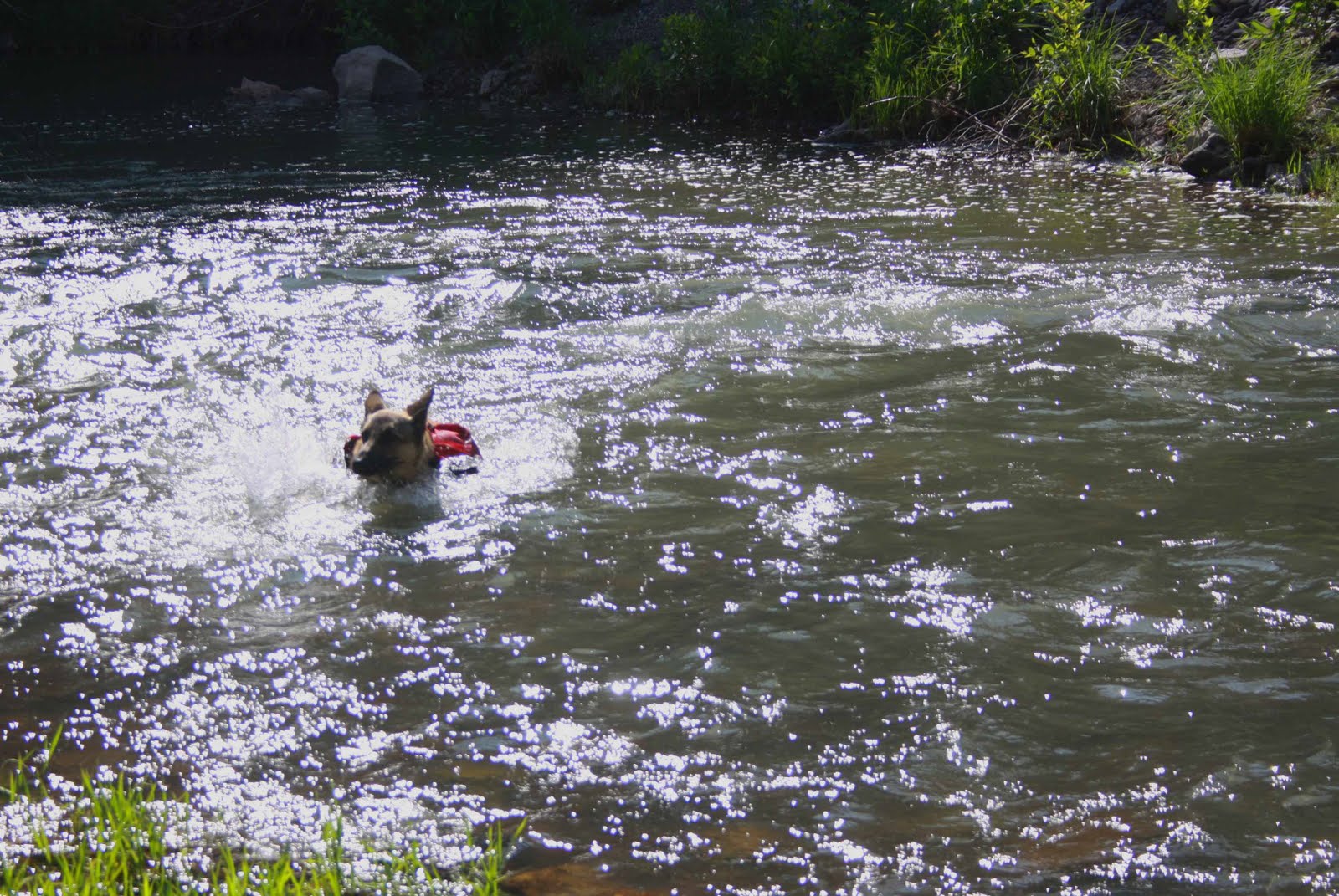 Dog Snot On My Windshield: The Gila River Trail