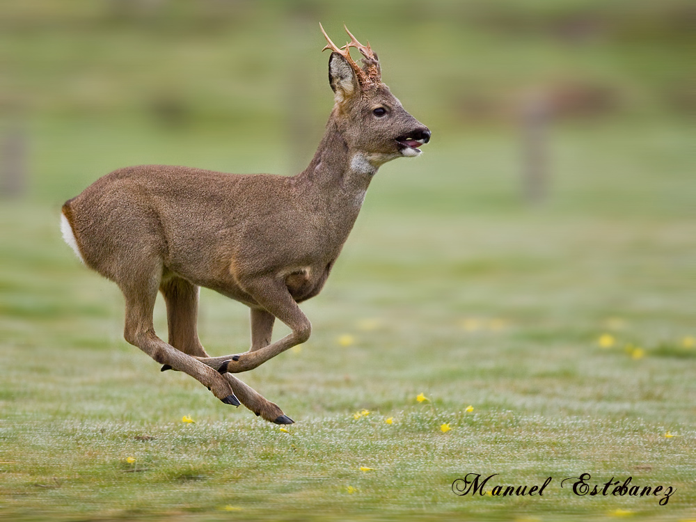 Curso Web 2.0 Manuel Estébanez: enero 2011