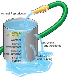 A Campaign to Save H2O: Define: Volume,Capacity and Cube