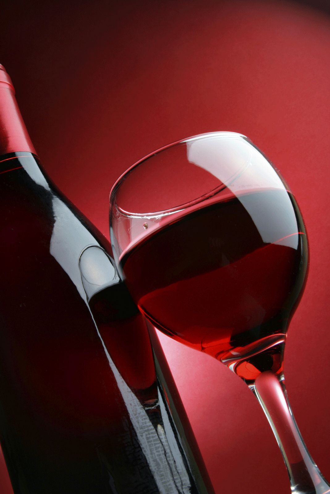 The Shaker The Sexy Wine True Story