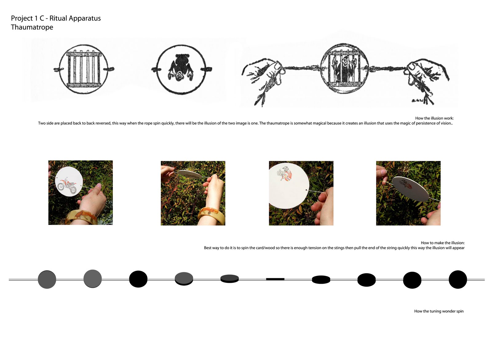 Multimedia studio: project 1c - thaumatrope research