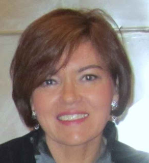 csmp-candidatos: Razões de uma candidatura