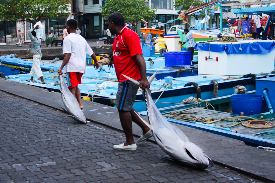 //Sub/Corpus Blog: Good catch