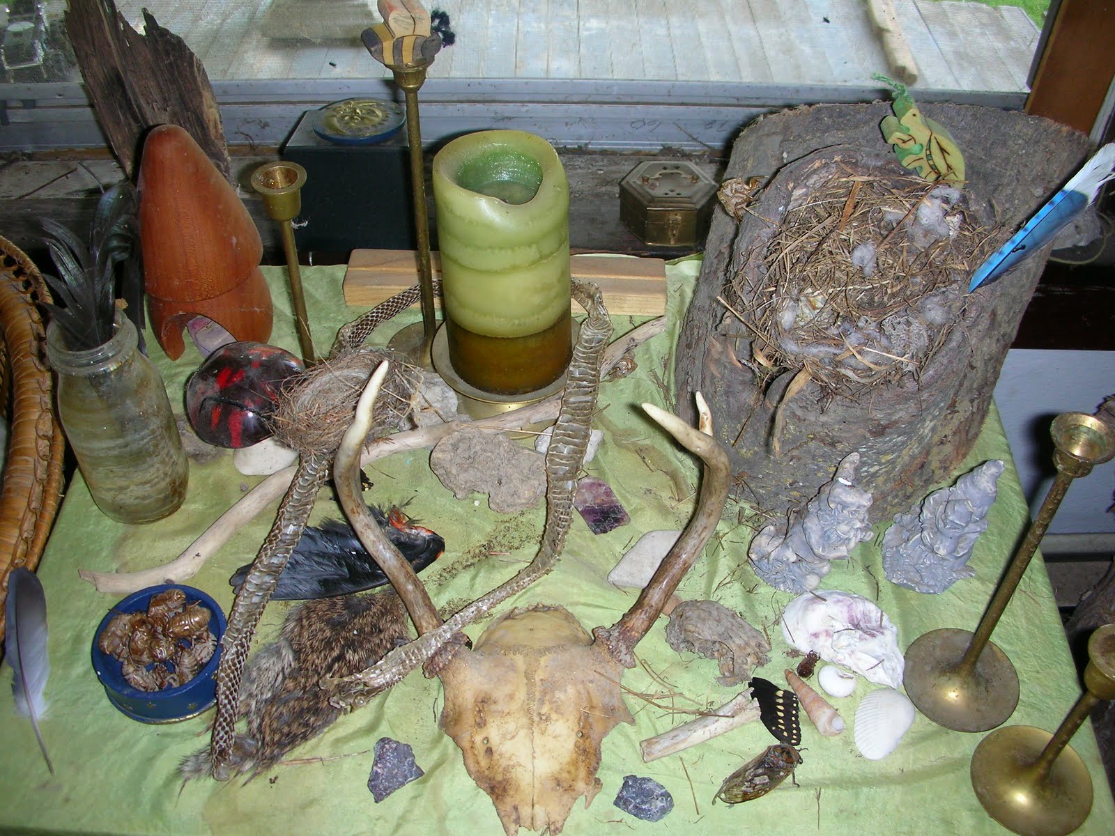 Luna Herb Co. » tenfold path