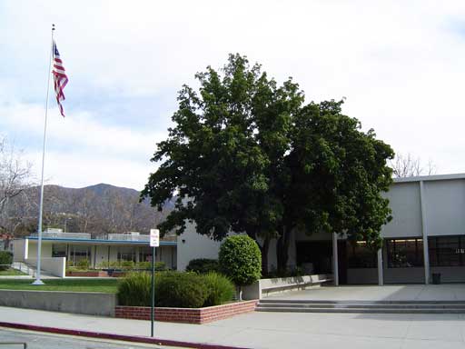 It's All True!: Dedications from Sharon's Junior High yearbook ...