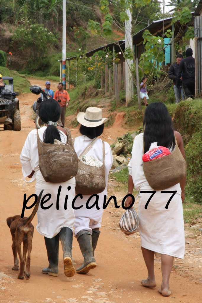 Fotografía nómada...: Indígenas Kogui en San Javier.