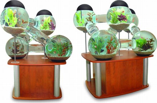 15 Most Unusual and Creative Fish Tanks