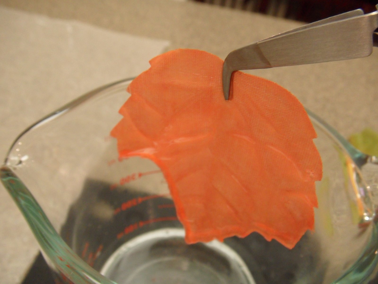 greenbean's crafterole: LEAF + WATER = SOAP