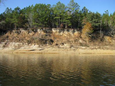 ON THE WATER IN SOUTH CAROLINA: Kayaking Big Pee Dee river