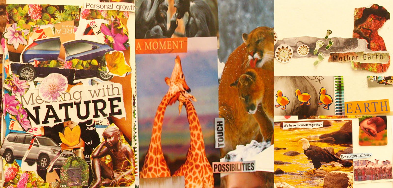 Collage Mural Project: 350 Climate Collage