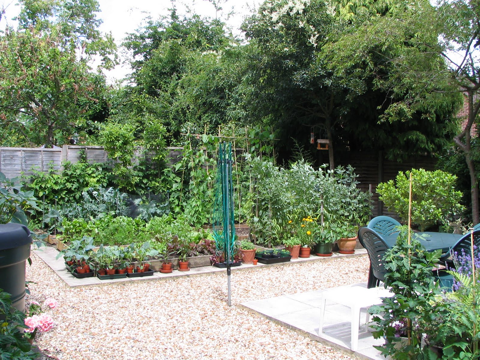 Mark's Veg Plot: My plot