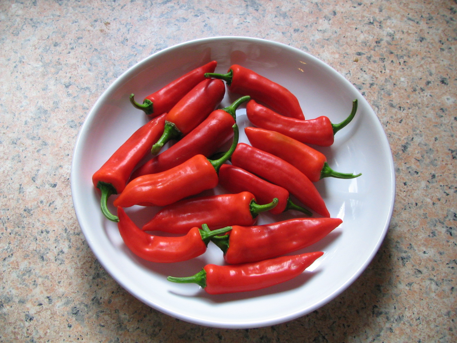Mark's Veg Plot: Chillis in profusion