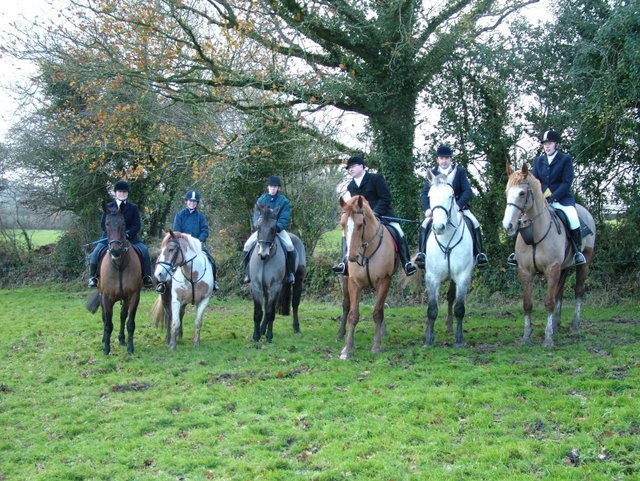 Coolnakilla Harriers/Stuart Mangan Appeal