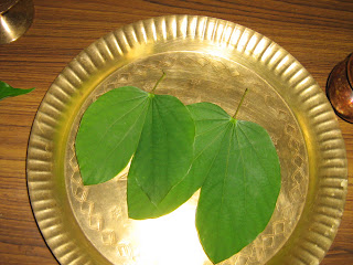 Nature shots: Mandaram