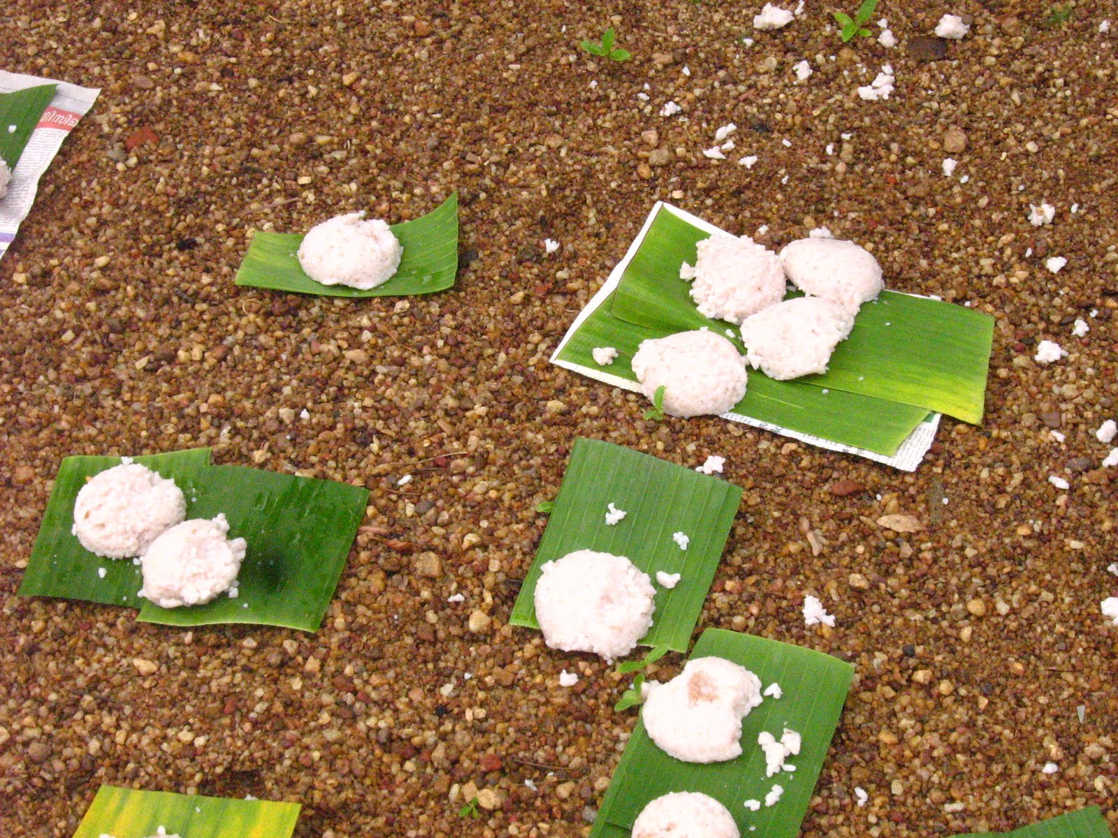 Nature shots: Bali Tharpanam-A tribute to ancestors