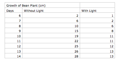Our Bean Plant's Growth