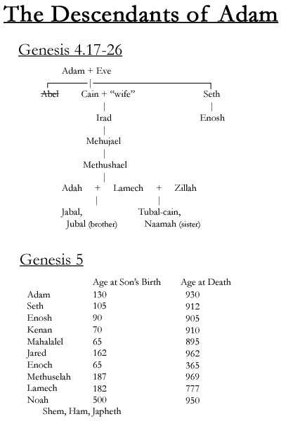 The Word: Genesis 3.1-5.32
