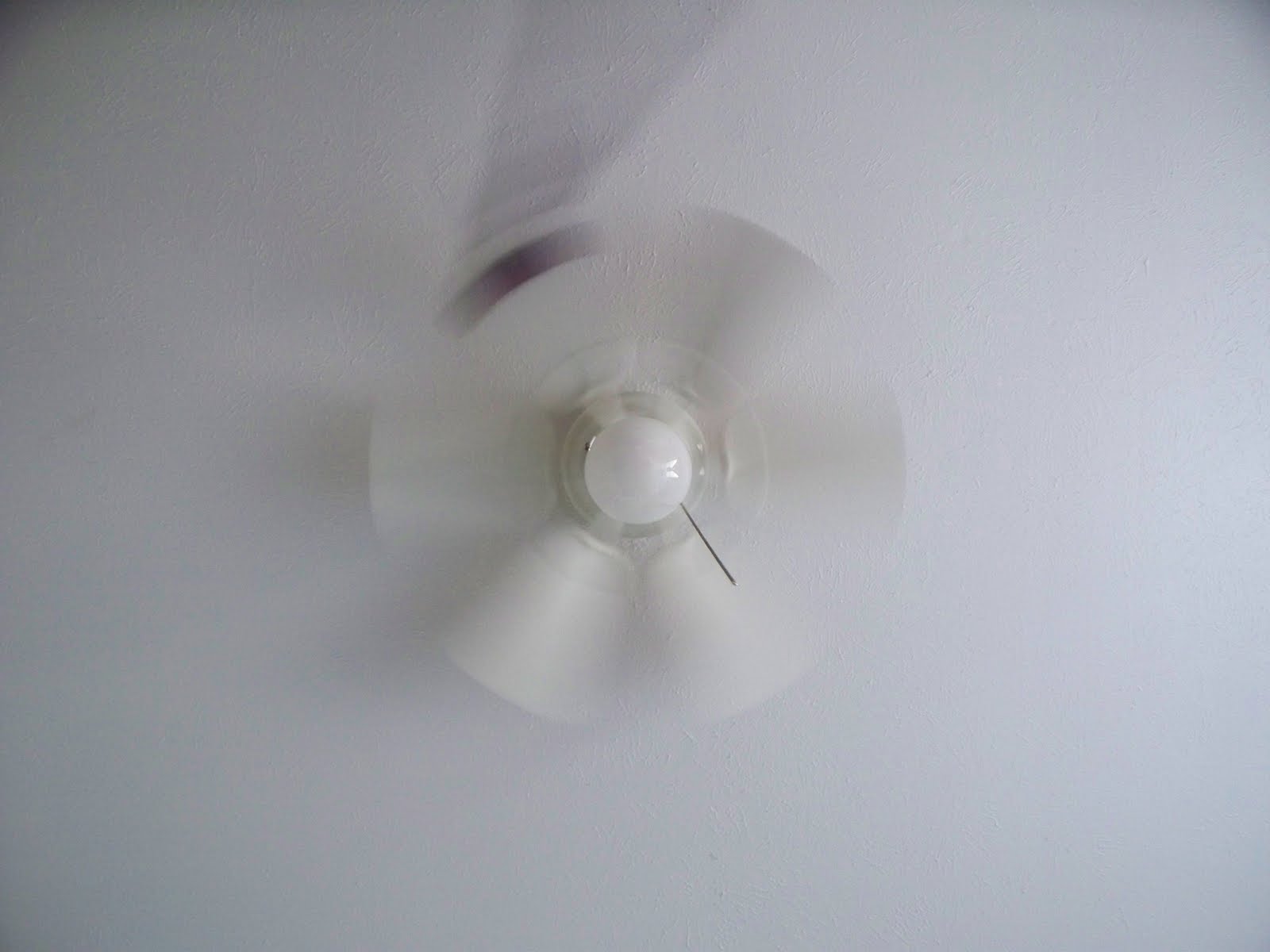 Physics: Photo Project: Unifrom Circular Motion