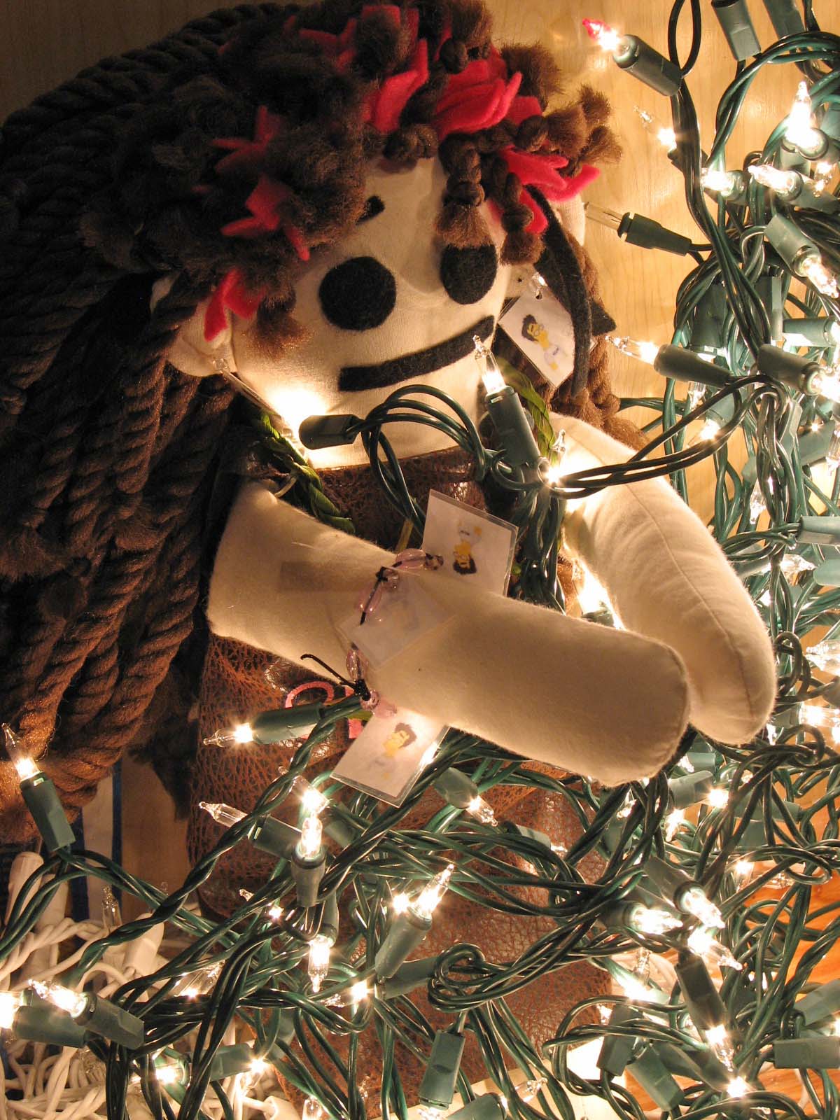 eHow Dolly Tour - New York Leg