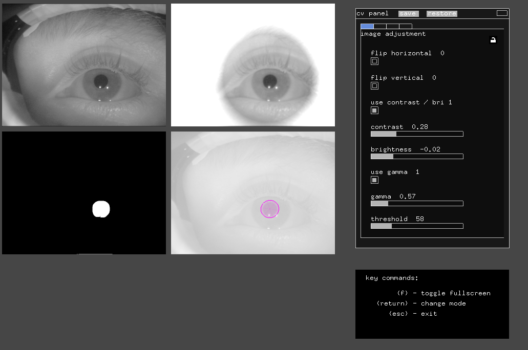 iGaze Web: Some captures from my first trials with my eye tracker