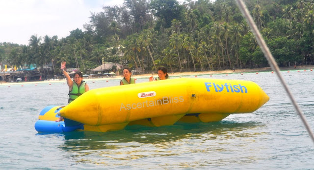 Ascertain Bliss: Flying Fish, Boracay