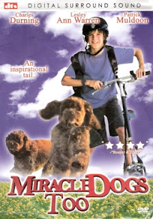 DogzFansClub: Fim-film tentang anjing