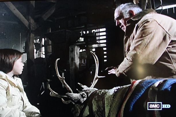 OTIS (Odd Things I've Seen): On Prancer: A Pretty Grounded Movie About ...