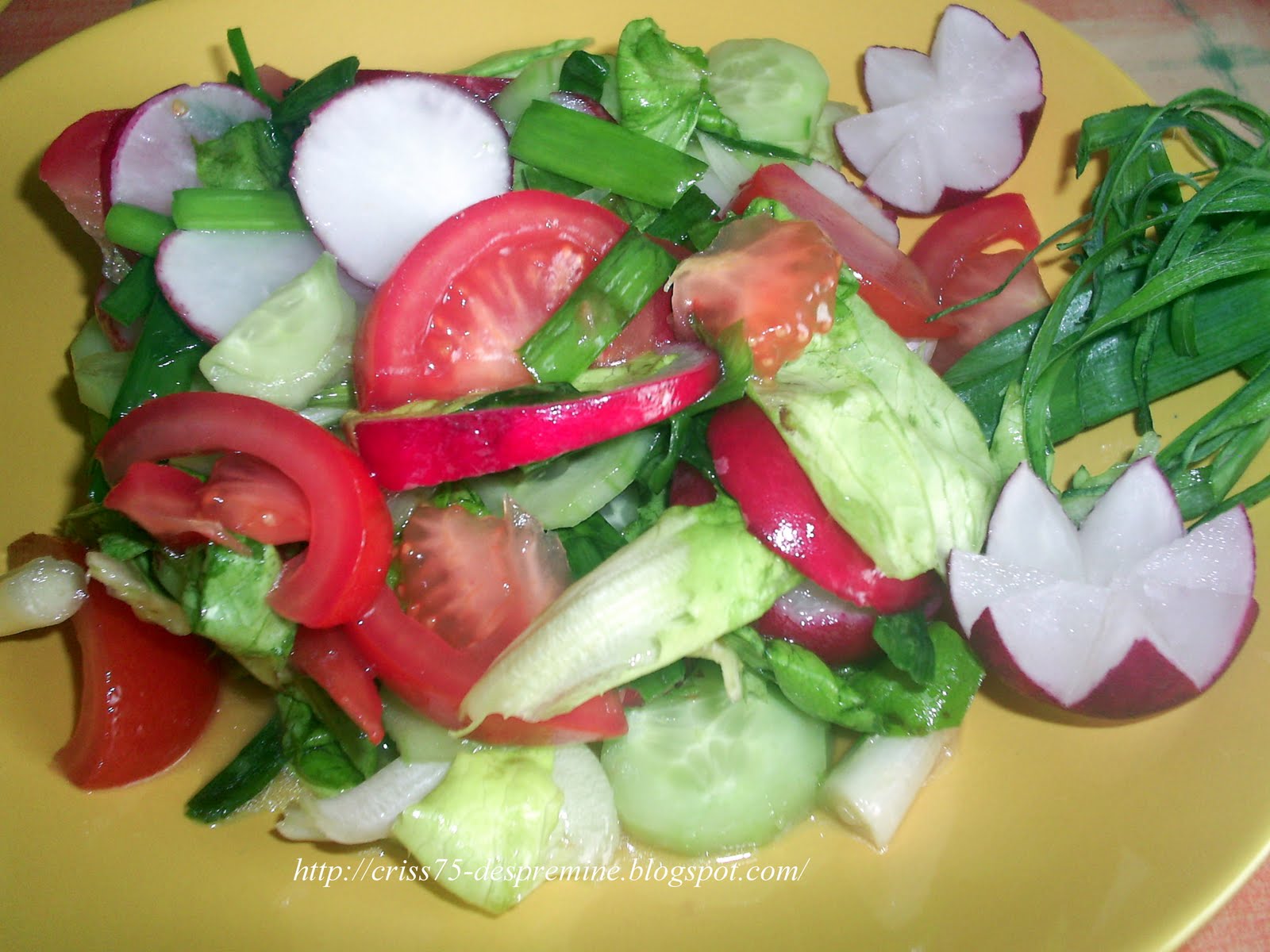 Arome si culori : Salata de primavara