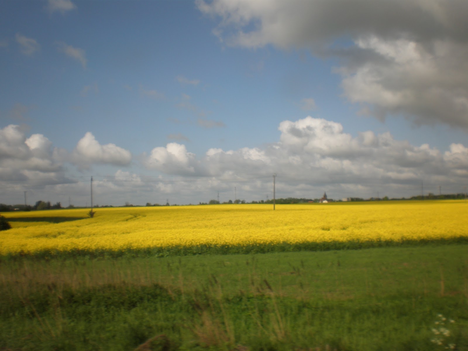 Zatylnys in Poland: Polish countryside