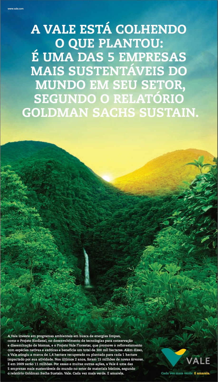Plantando Consciência: Companhia Vale do Rio Doce
