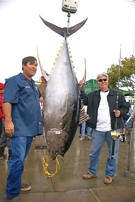 Current World News: Angler's 405-pound yellowfin tuna is the weightiest ...
