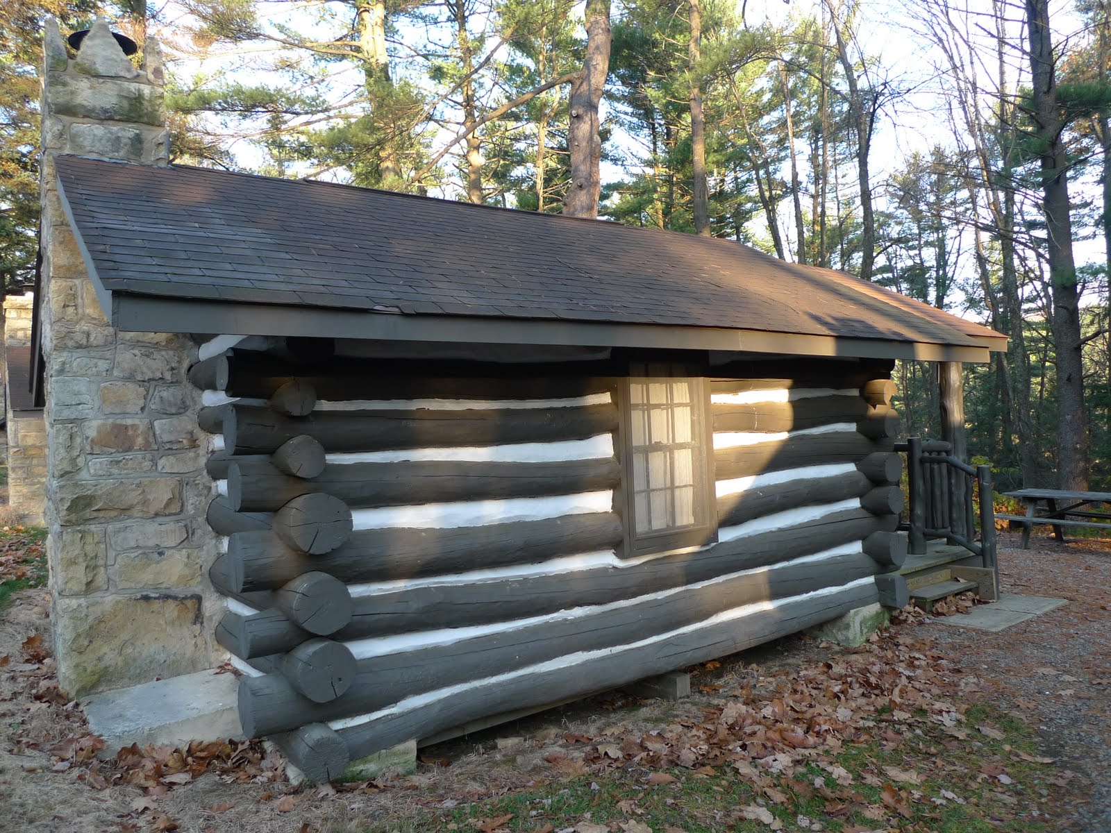 Winter Foliage: Home Sweet Home...