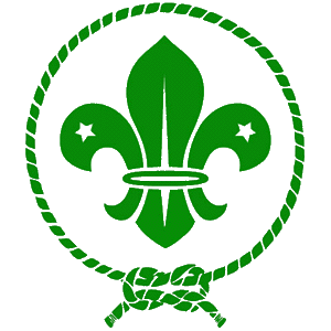 Piensa en verde: Flor de Lis