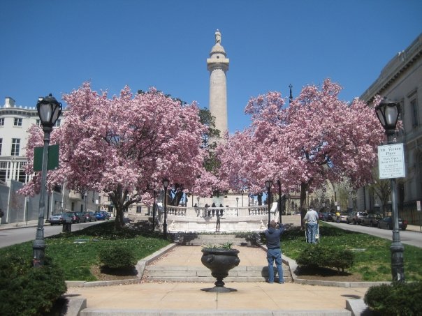 Southern Folk Artist & Antiques Dealer/Collector: America's first ...