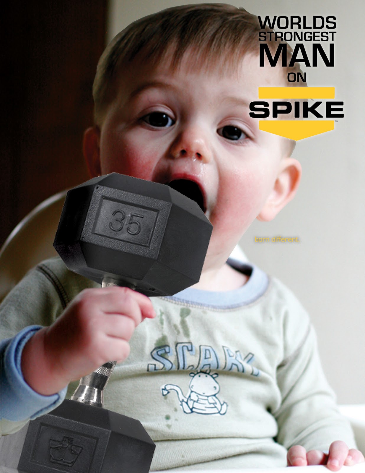 Dane Yankowich - Creative for Hire: Worlds Strongest Man - TV show ...