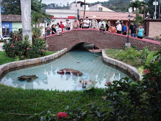 PateplumaSB: Parque Central de Santa Bàrbara