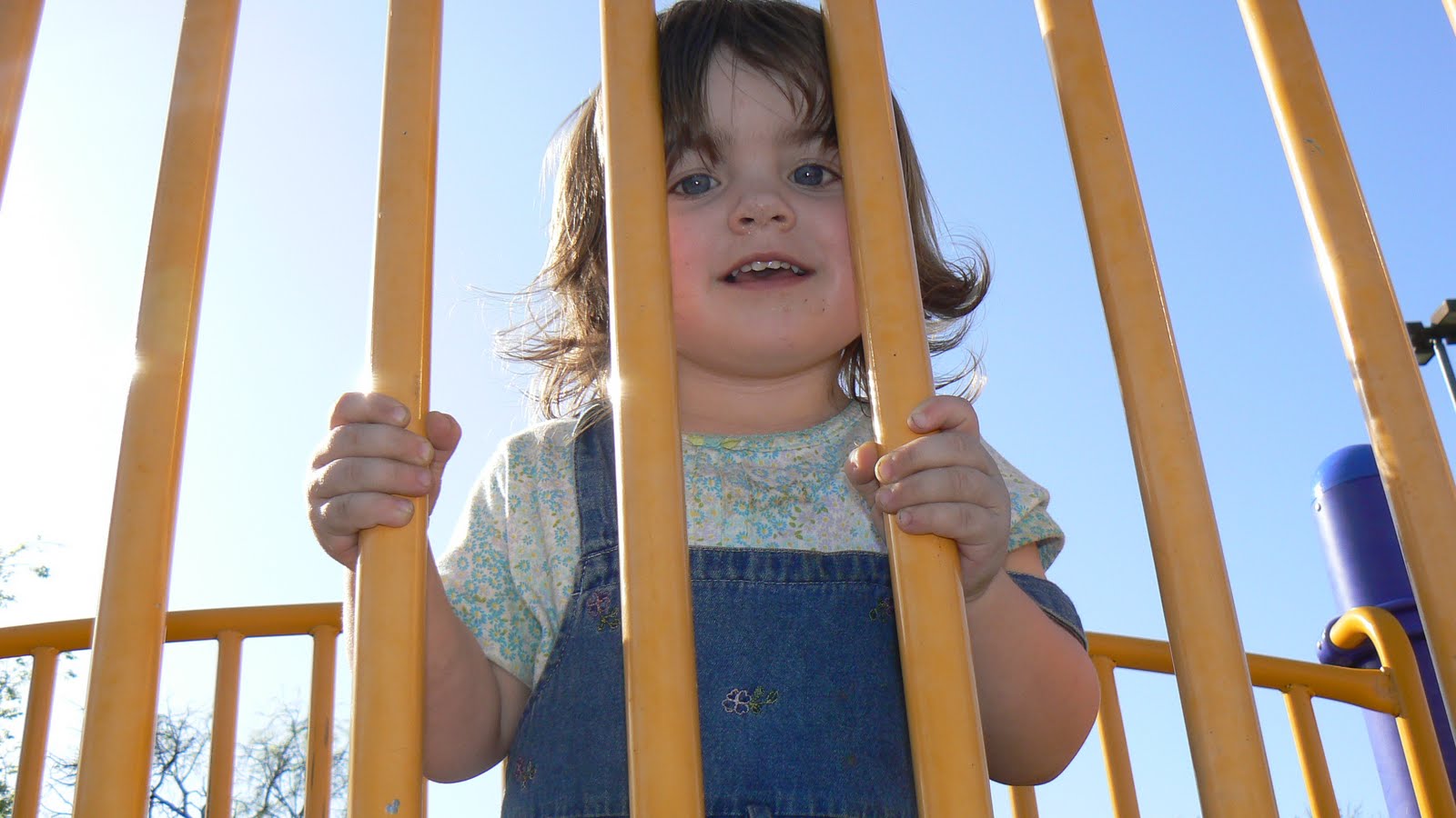 THE GRINDSTAFF FAMILY: October 2010