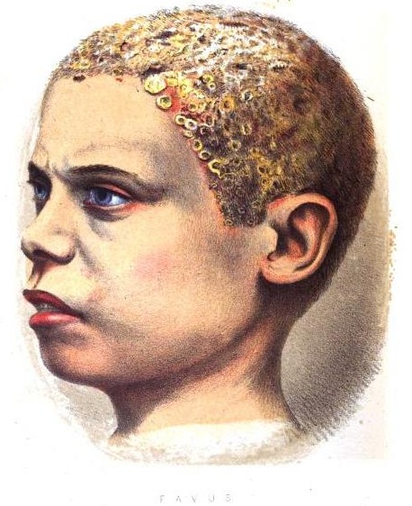 head research: July 2010