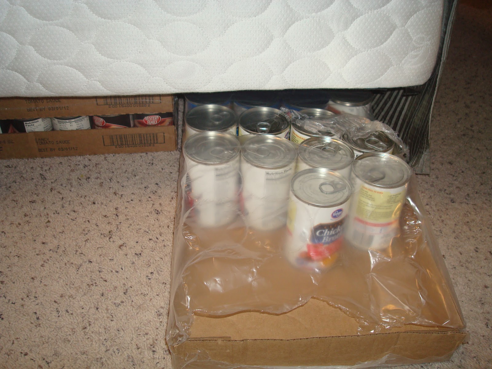 my family prepared: Small Space Food Storage Solutions