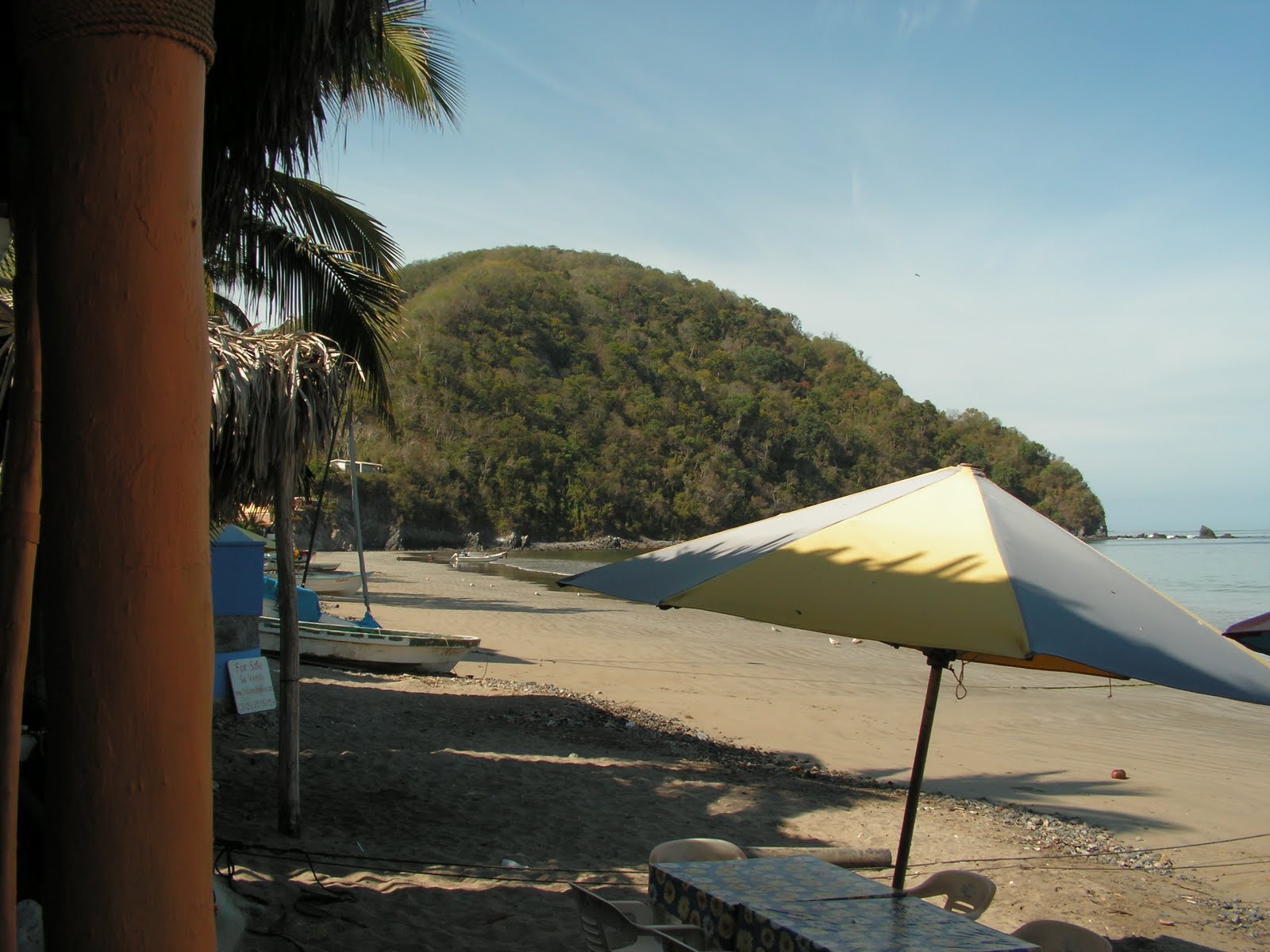 Carol Lopez - Painter