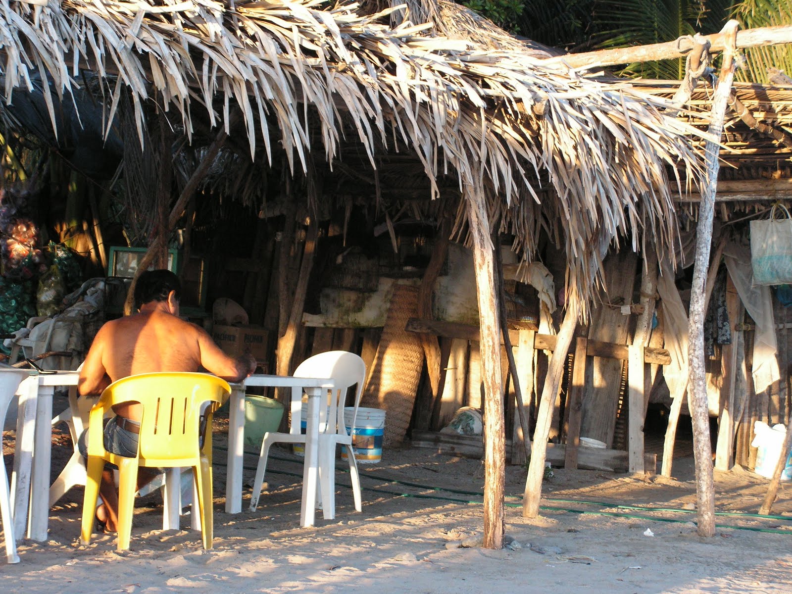 Carol Lopez - Painter