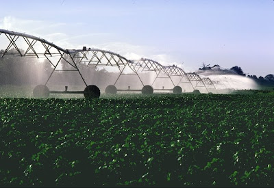 Agri Turf: Landboubesproeiing: Spilpunt / Center pivot irrigation