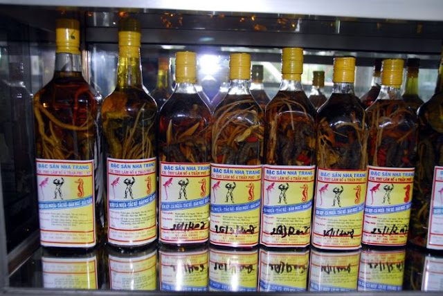 Snake wine | Vietnam Liquor - Spluch - Interesting/Fun Stuff From ...