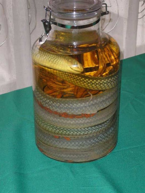 Snake wine | Vietnam Liquor - Spluch - Interesting/Fun Stuff From ...