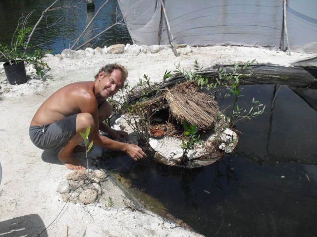 Spiral Island - Artificial Plastic Bottles Islands - Spluch ...