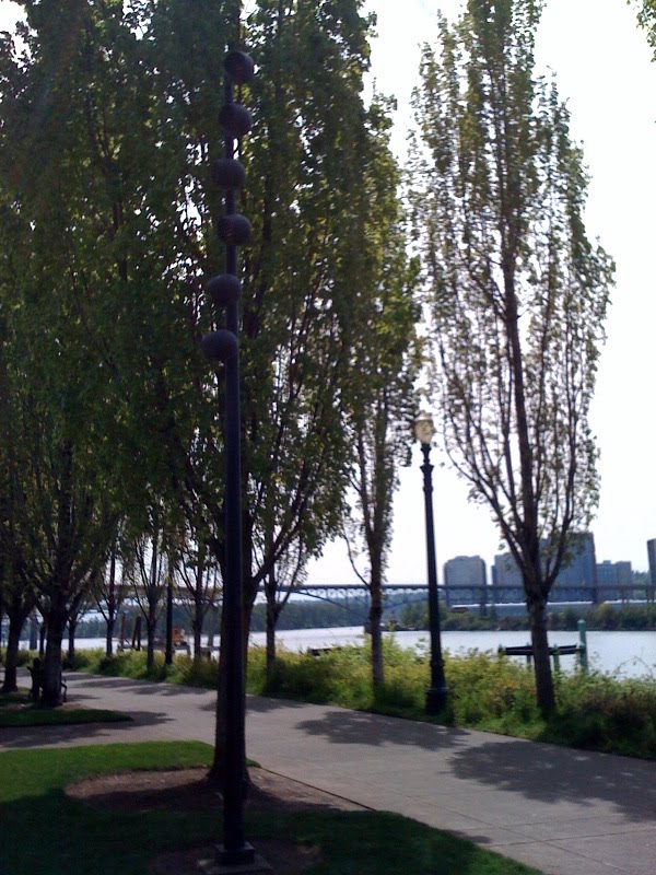 Trees(and orgon) Recharge Earth’s Electromagnetic Field | Zenobiusz