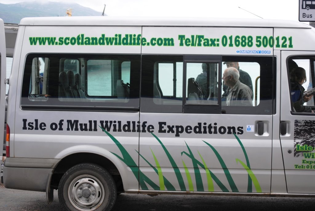 Life's adventures: Isle of Mull highlights