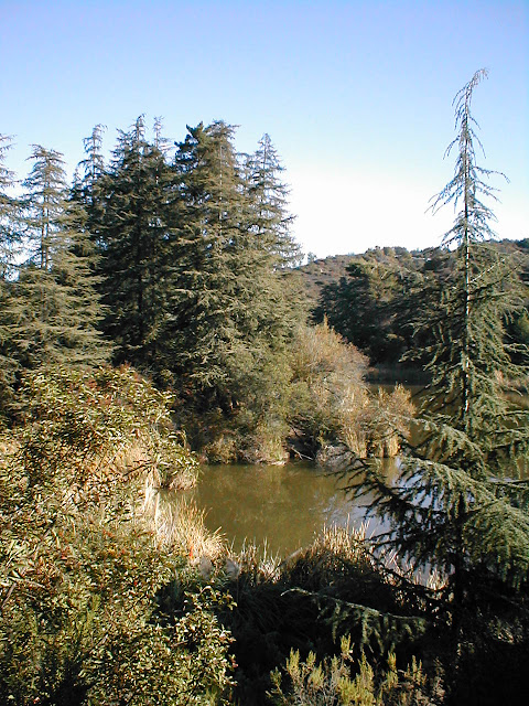 Experiencing Los Angeles: Andy Griffith Lake, aka "Myers Lake" (Upper ...