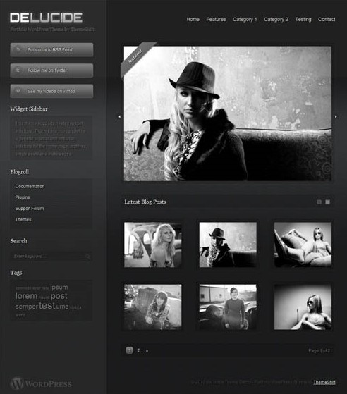 Professional Wordpress Themes: DeLucide Dark Portfolio WordPress theme